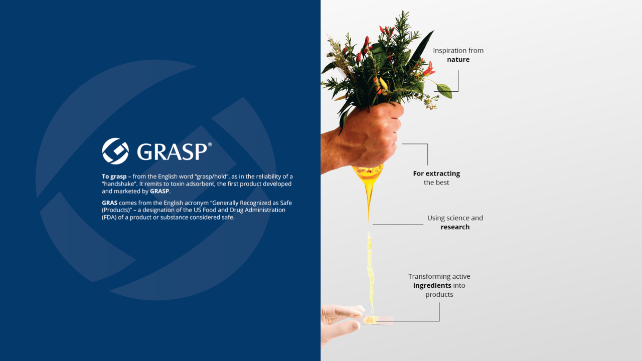 Home – English | GRASP